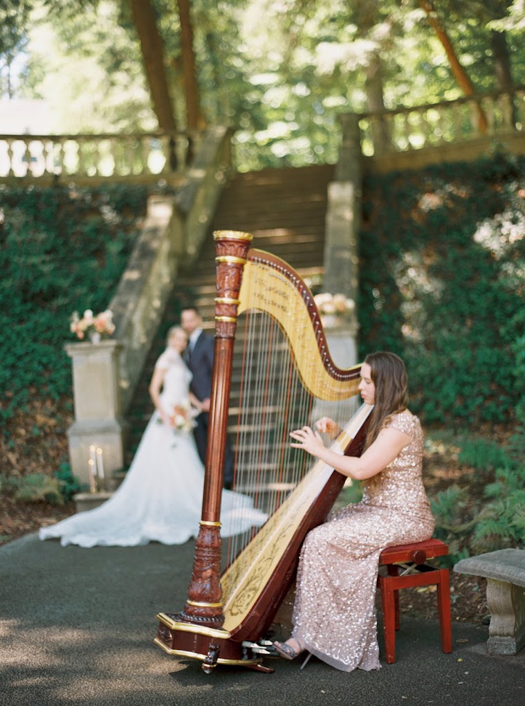 Harp & Soul | Entertainment | Atlanta GA, United States